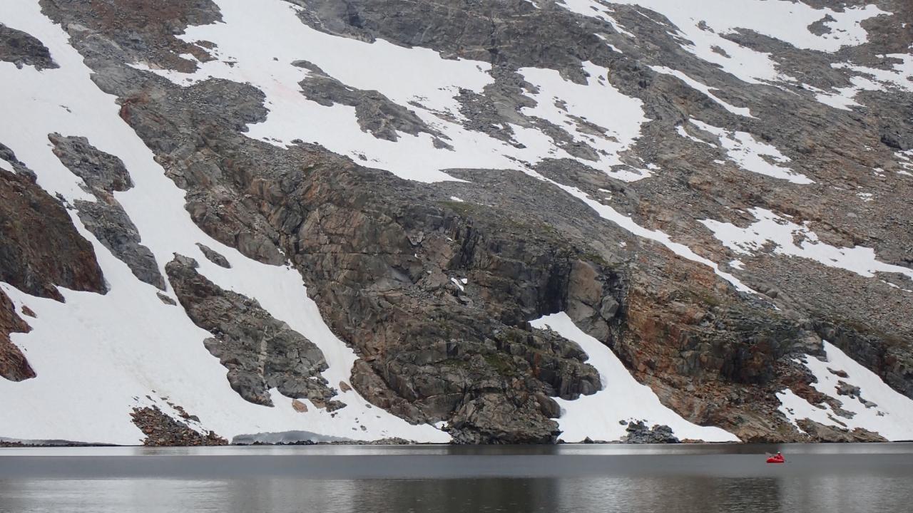 Losing Winter | College of Agricultural and Environmental Sciences